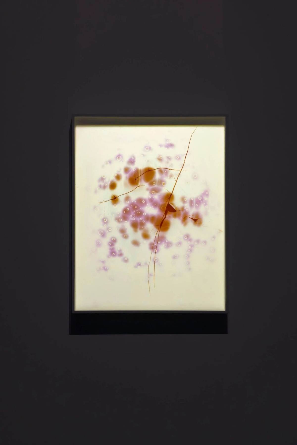 Short-term Histories at Rockbund Art Museum | SmartShanghai